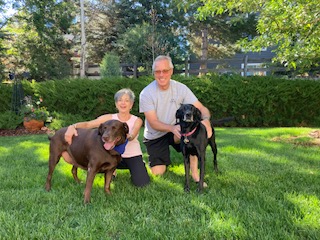 Athena - Safe Harbor Lab Rescue