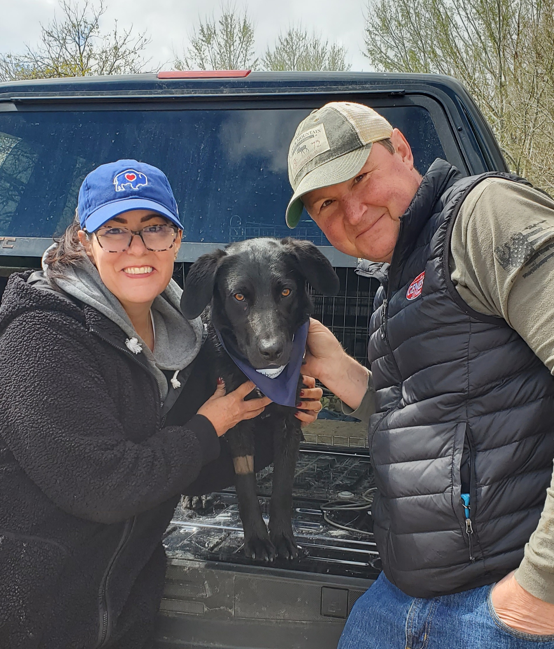Bauer (formerly known as Scout) - Safe Harbor Lab Rescue