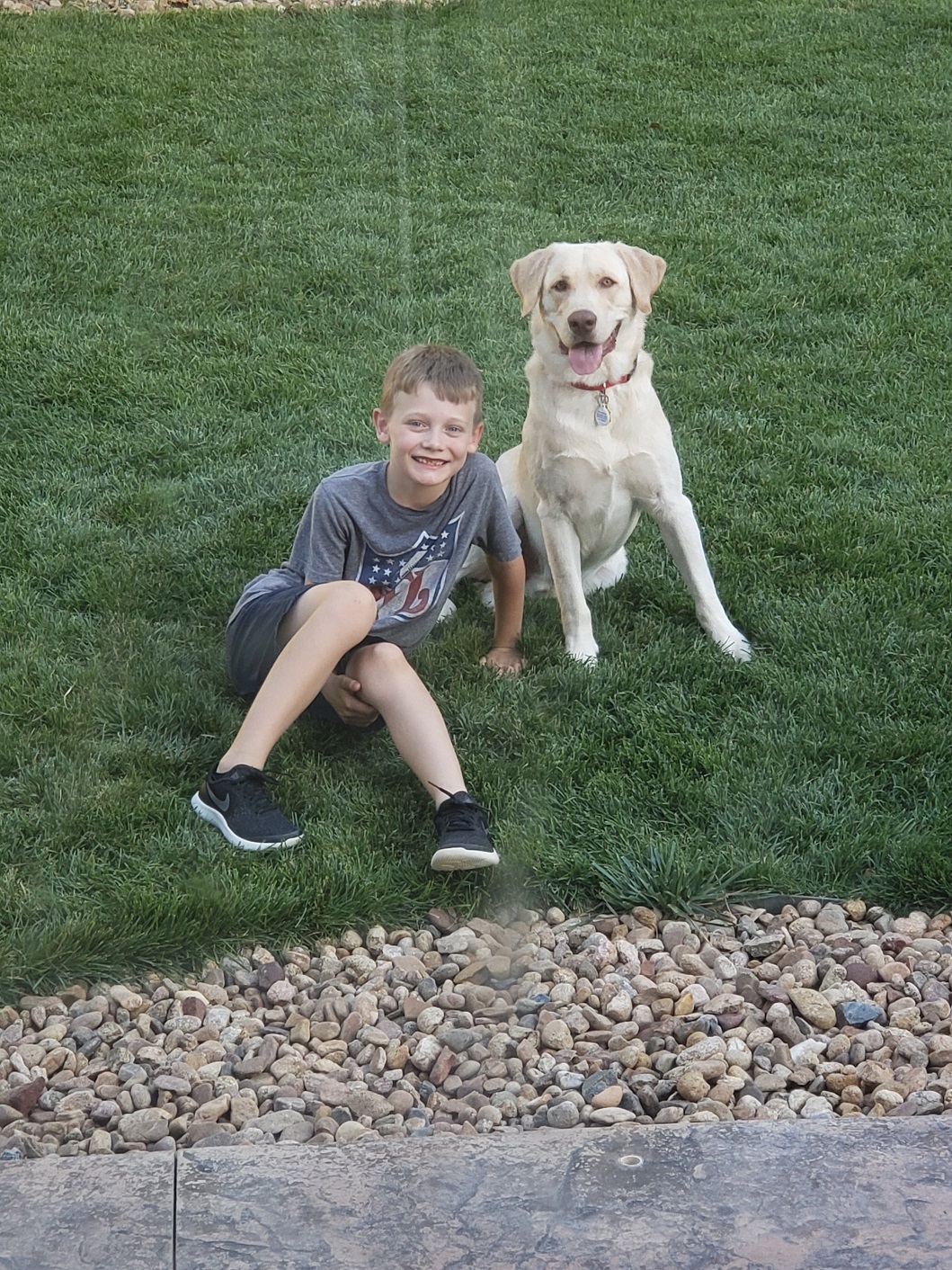 Bear - Safe Harbor Lab Rescue