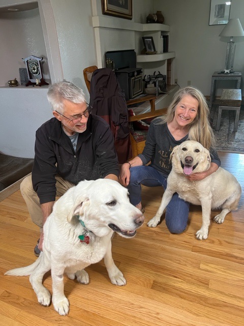 Buddy - Safe Harbor Lab Rescue