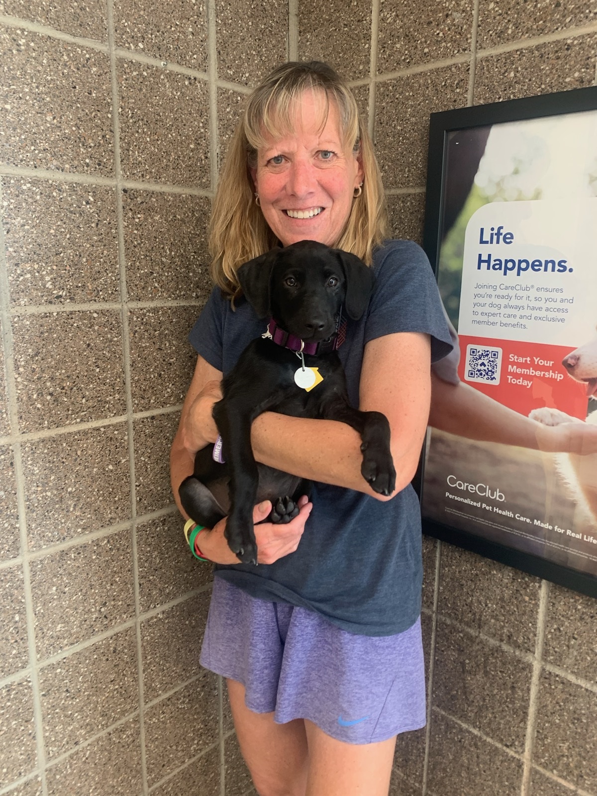 Cato (Formerly Known as Rookie) - Safe Harbor Lab Rescue