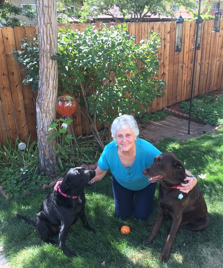 Gerdy - Safe Harbor Lab Rescue