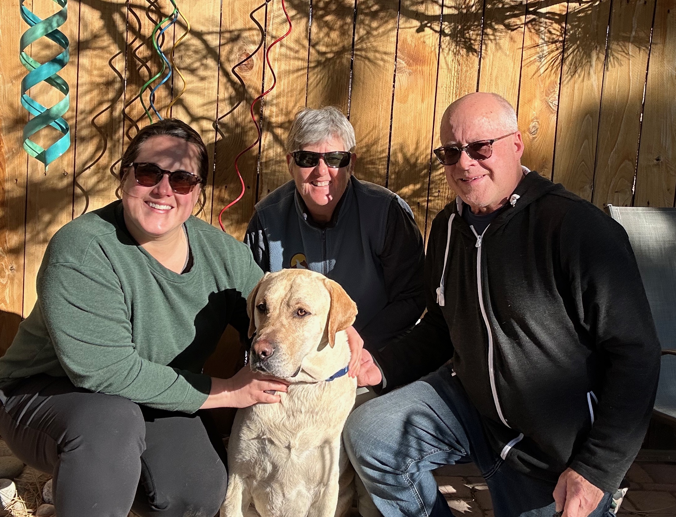 Lucky - Safe Harbor Lab Rescue