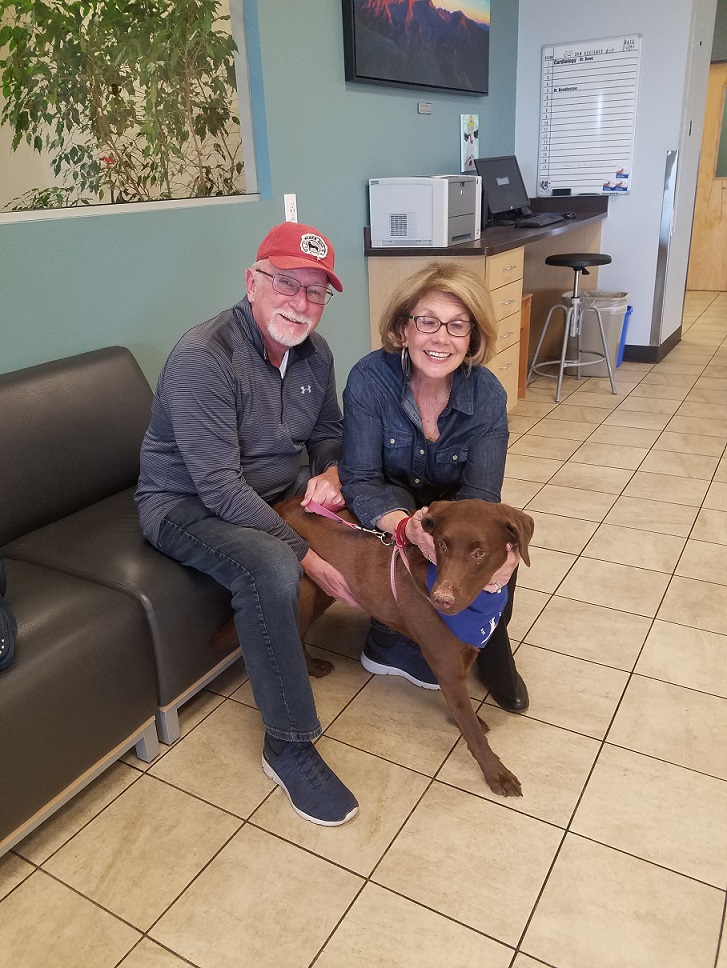 Madden - Safe Harbor Lab Rescue