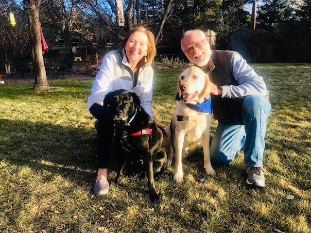 Ryder - Safe Harbor Lab Rescue