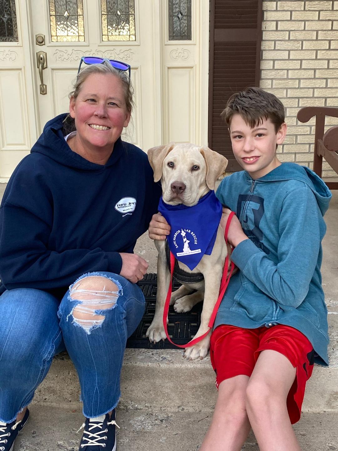Shelby (FKA Toffee) - Safe Harbor Lab Rescue