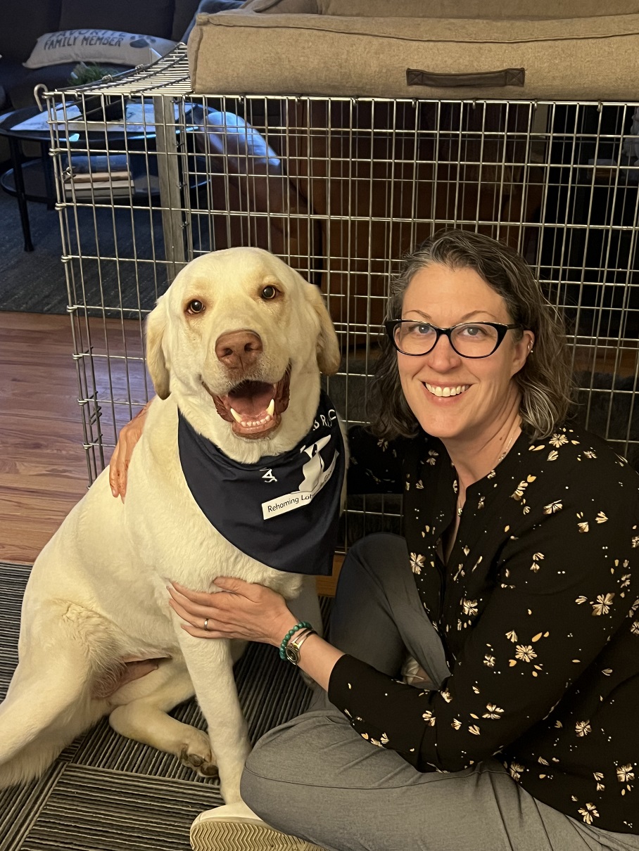 Twinkie - Safe Harbor Lab Rescue