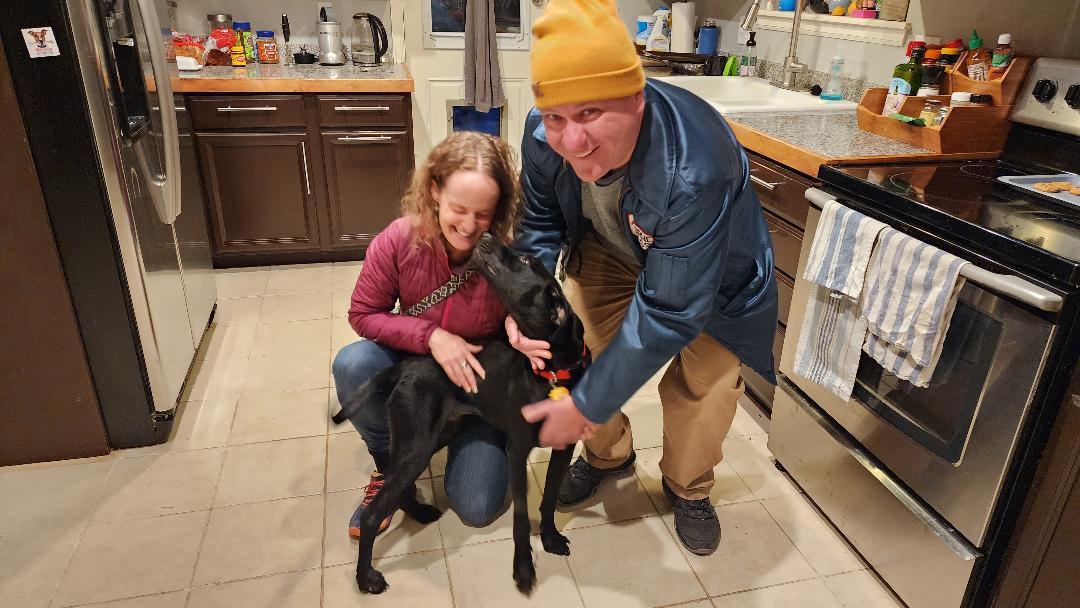 Waylon (FKA Sirius) - Safe Harbor Lab Rescue